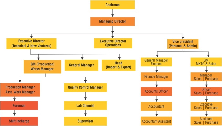 management-team-chart – AMMAN-TRY